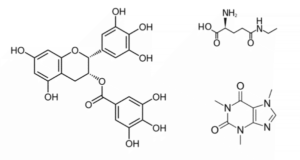 Chemical Compounds in Tea · Tea Epicure