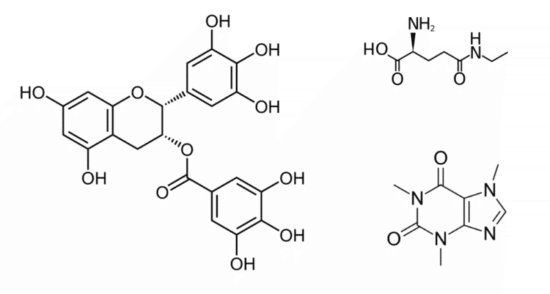 Chemical Compounds in Tea · Tea Epicure