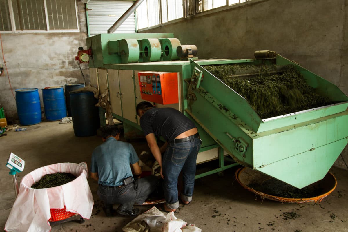 Tea Processing: Drying · Tea Epicure