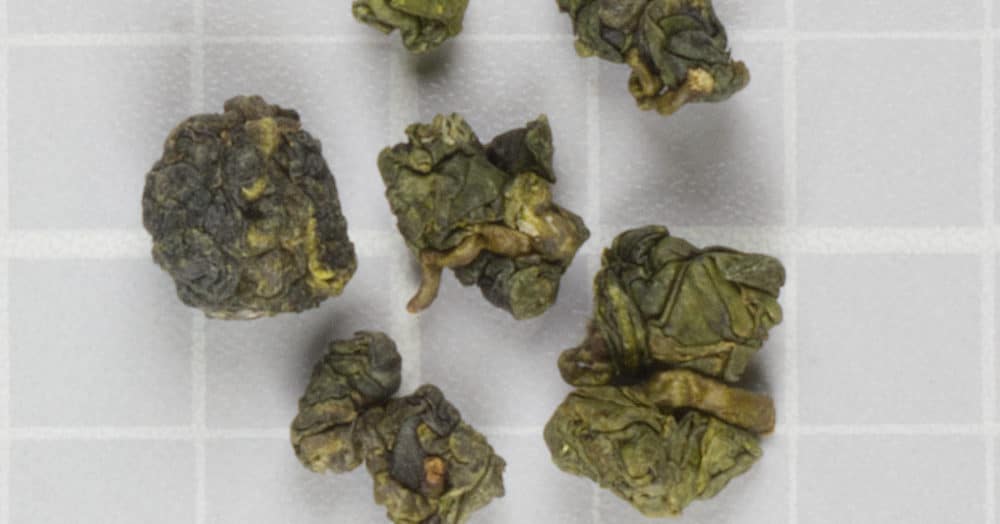 Autumn 2018 Green Wulong · Lin Mao Teng · Tea Epicure