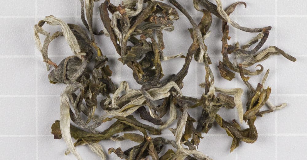 “May” Green Tea · Tay Bac Tea and Special Food Company Ltd