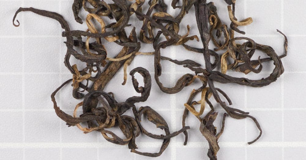 Fin Ho Red Shan Tea · Phin Ho Tea Processing Cooperative